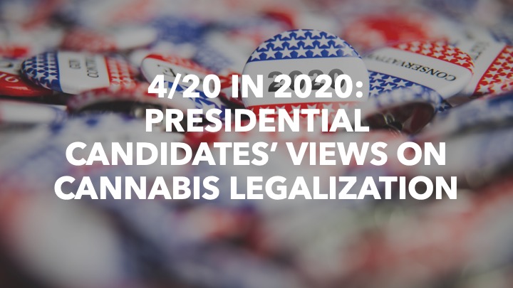 4/20 in 2020: Presidential candidates' views on cannabis legalization