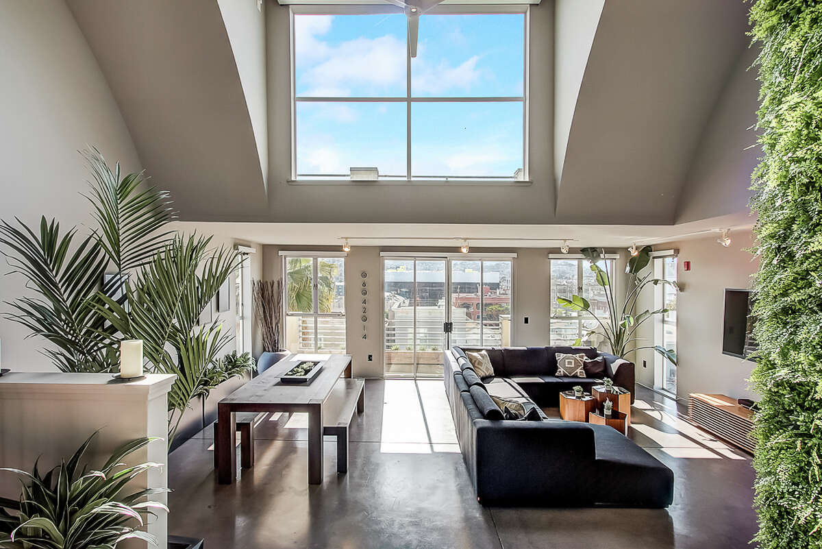 A faux living wall is the centerpiece of this $1M SF penthouse loft