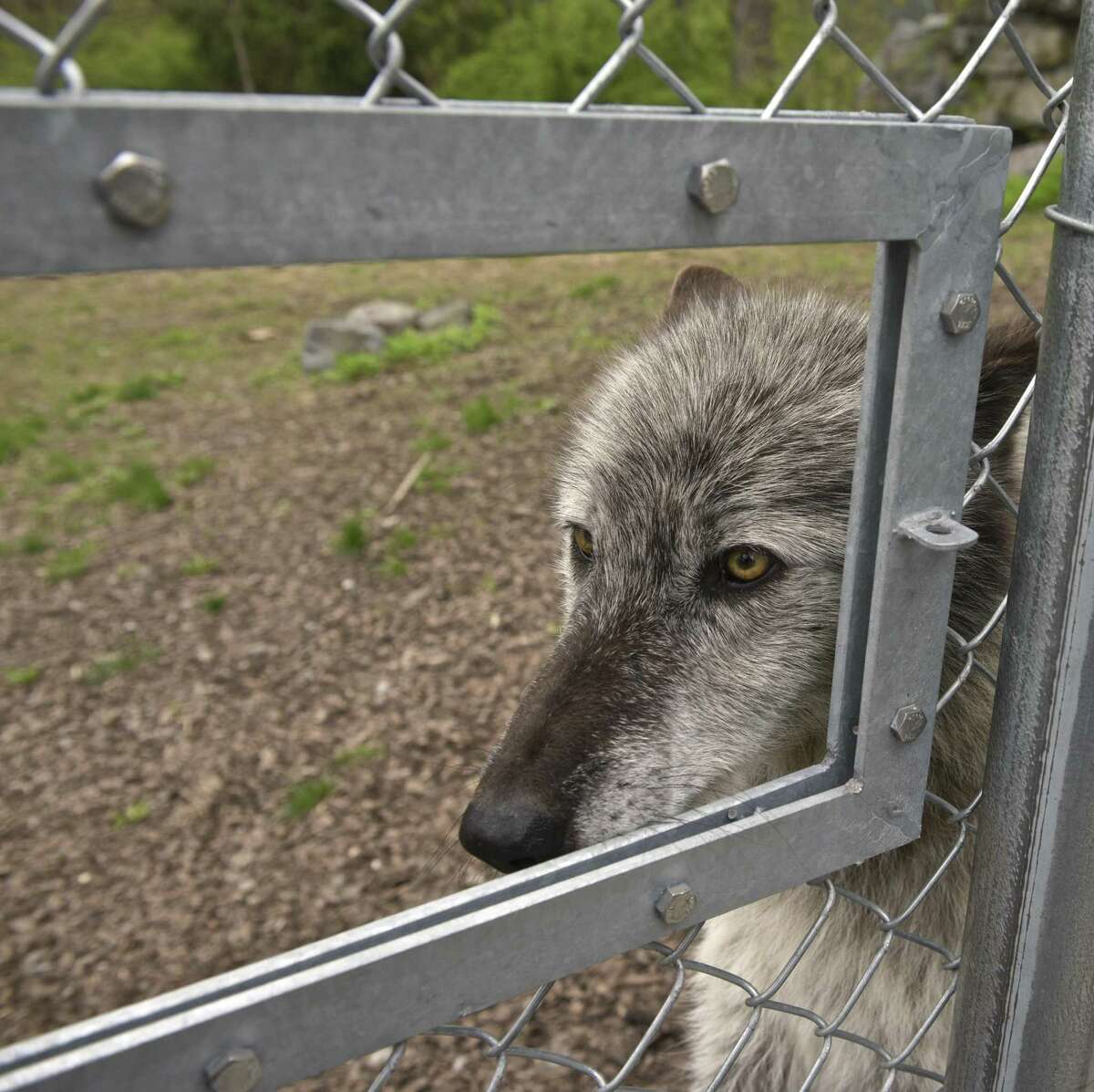 Connecticut’s Week in Photos