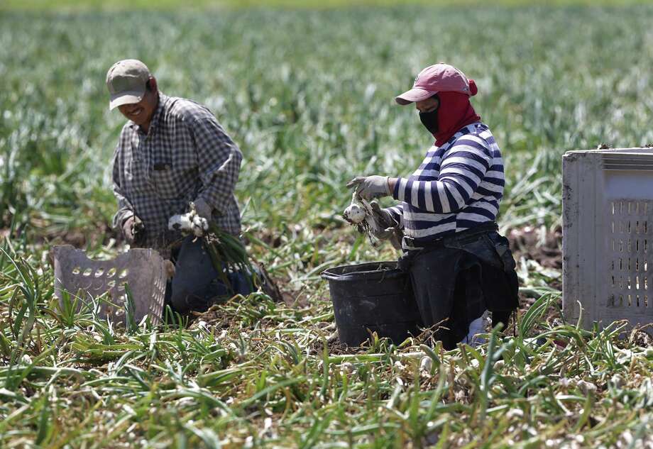 Tricked and brutalized, farmworkers face a battle for their pay, rights ...