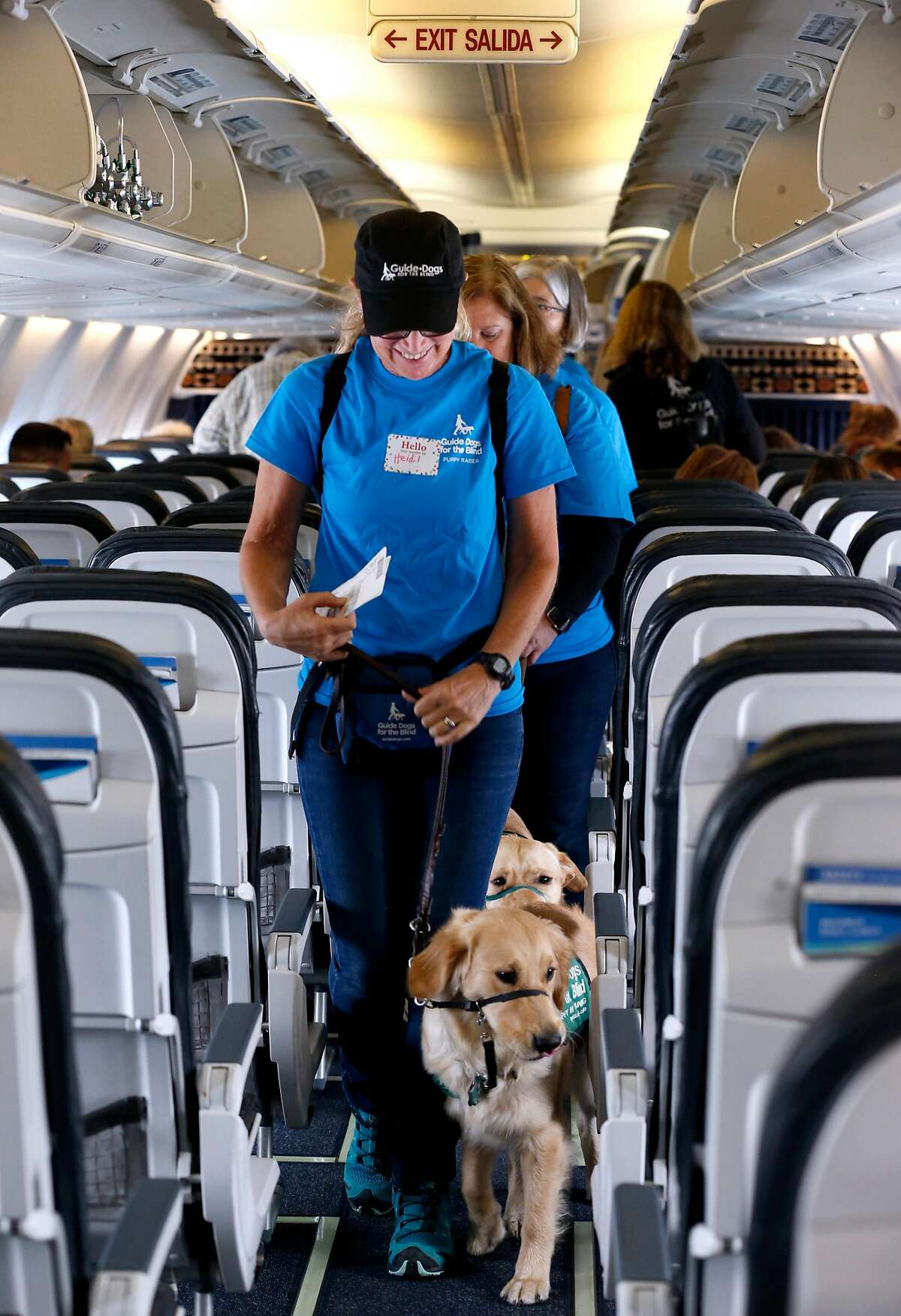 70 prospective guide dog puppies hit Oakland Airport for training