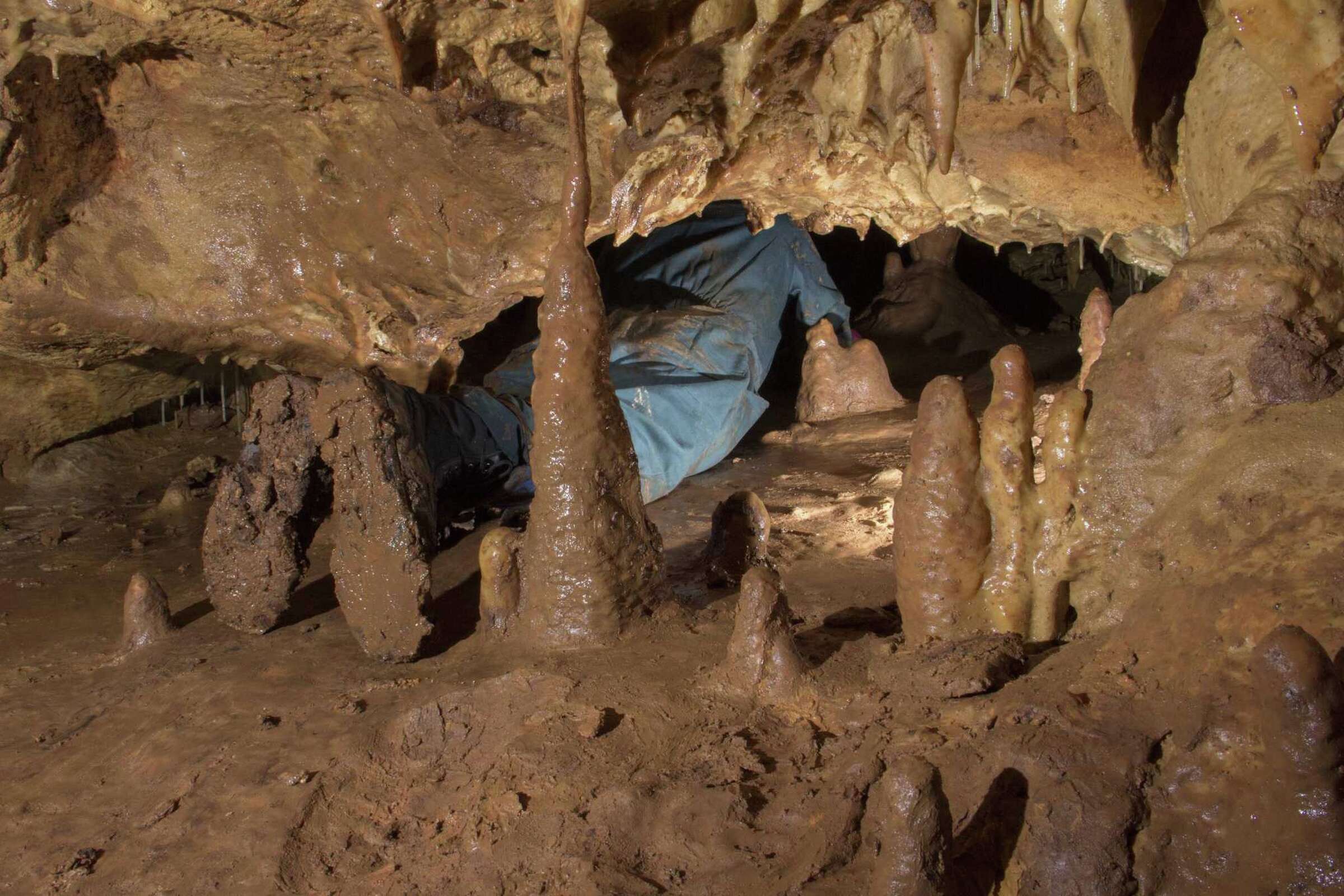 San Antonio area Natural Bridge Caverns reveals more secrets in never ...
