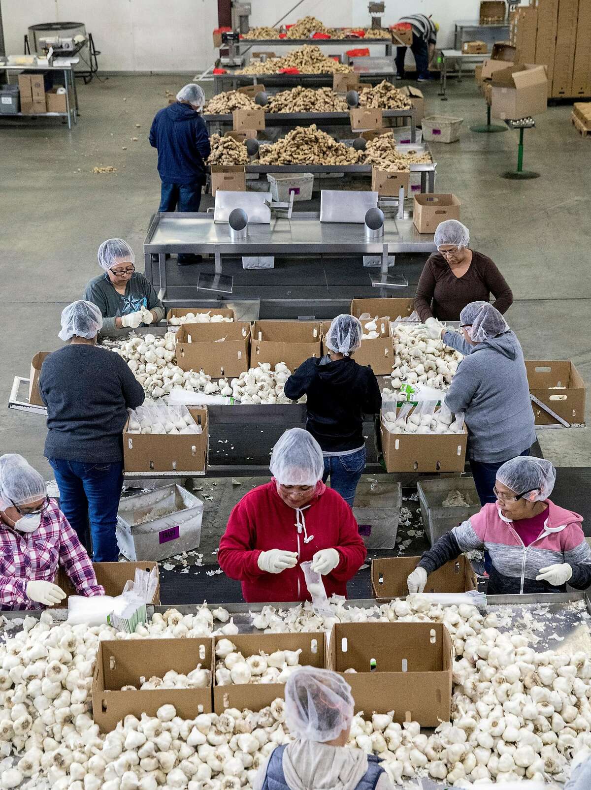 The markets think the trade war stinks. A California garlic grower ...