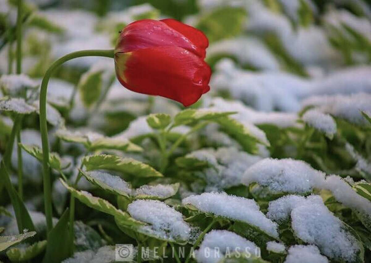 150 lakes in the Tahoe Basin are still frozen, and it's June