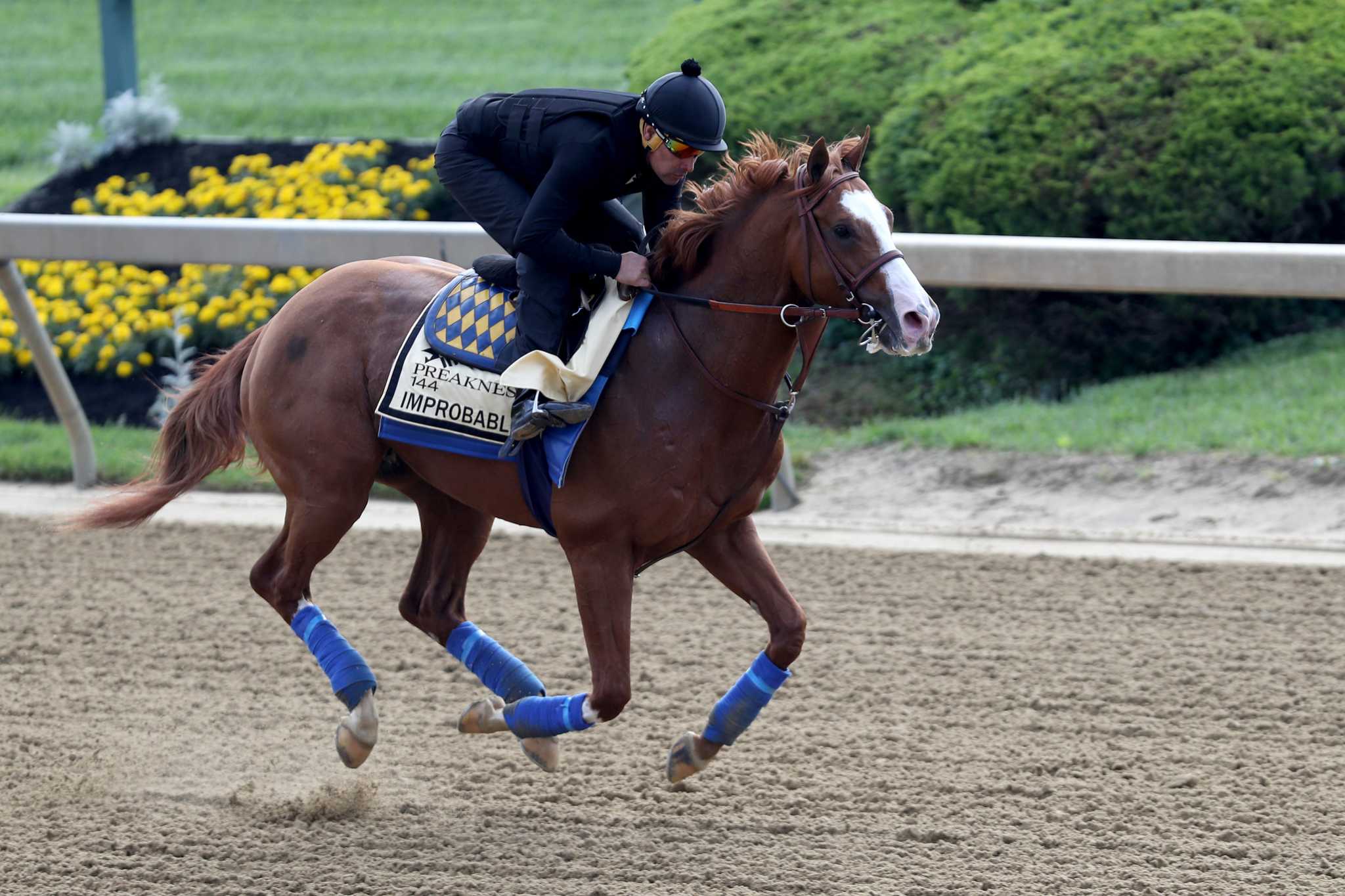 Preakness Stakes: Dan Nowak breaks down the field