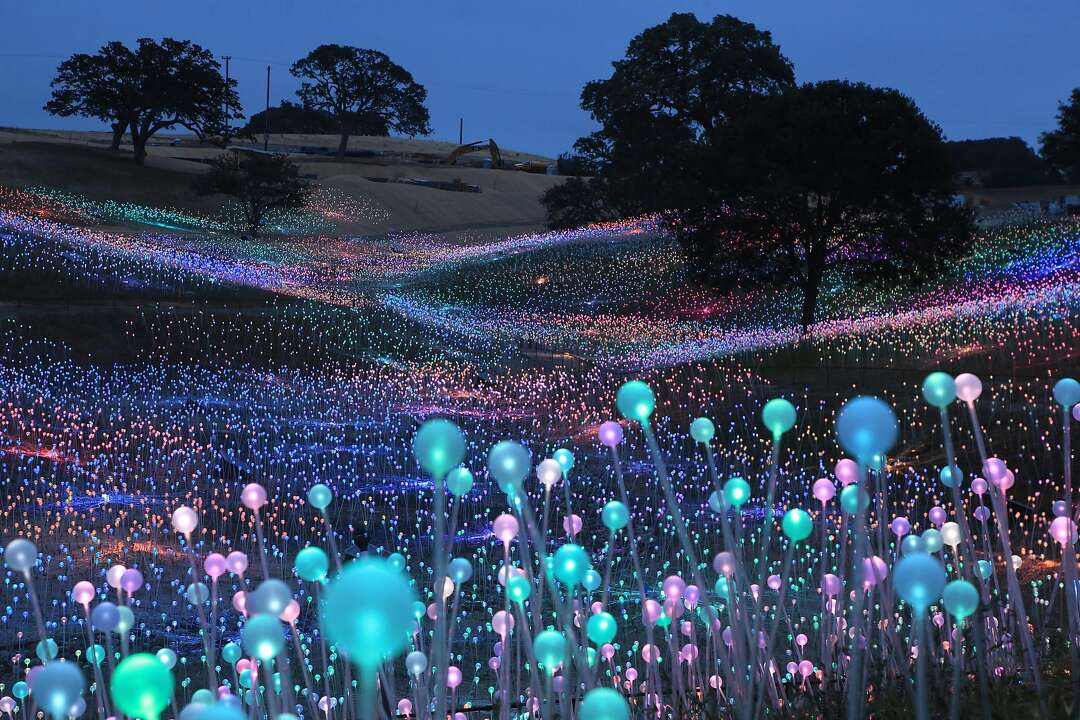 Artist Bruce Munro’s immersive ‘Field of Light’ glowscape opens in Paso ...