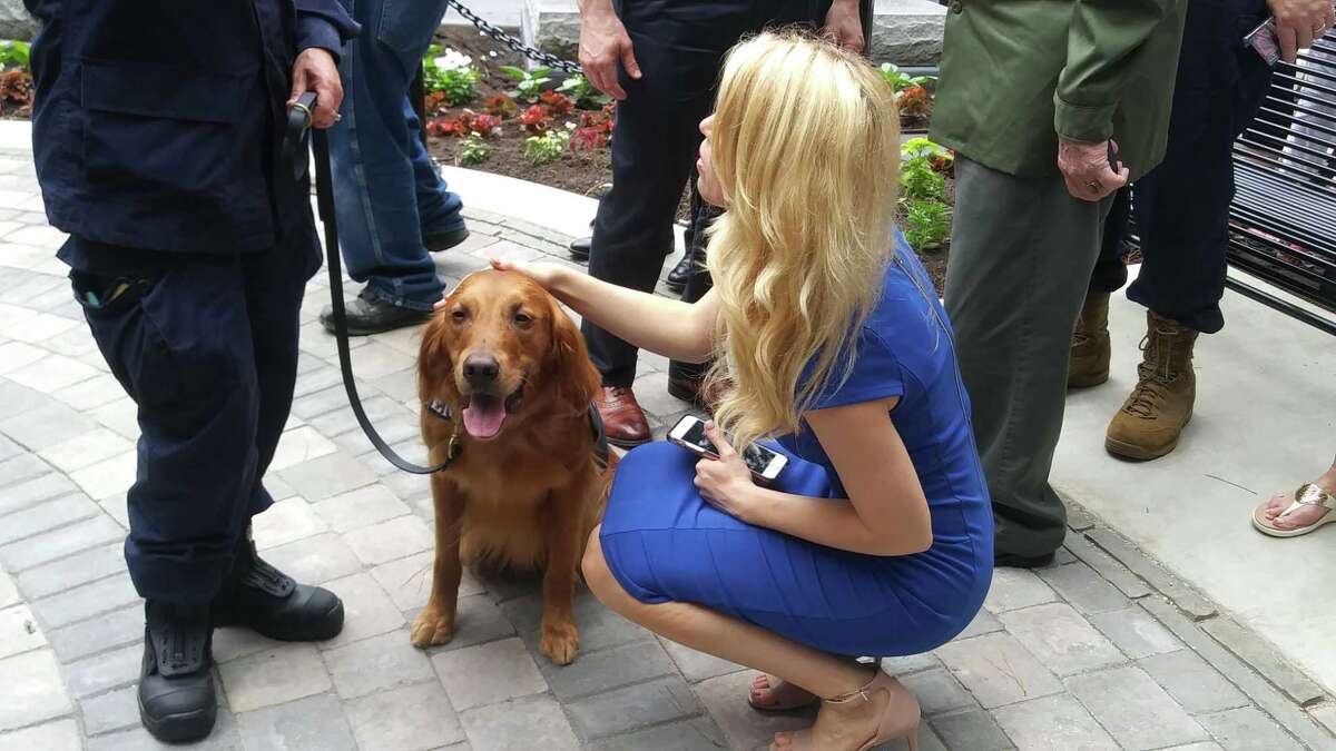 Statues unveiled in northwest Houston honor military service dogs
