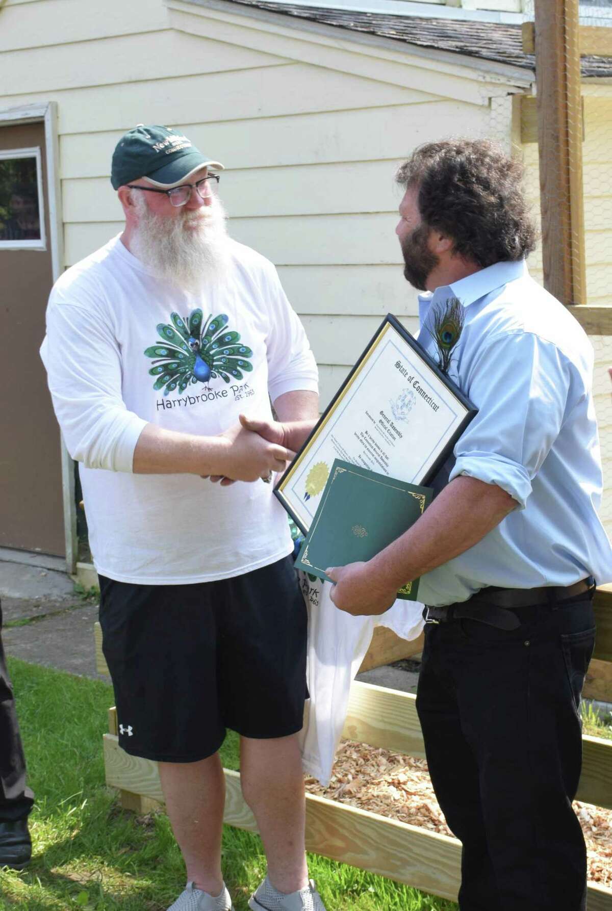 New Milford welcomes peacocks back to Harrybrooke Park