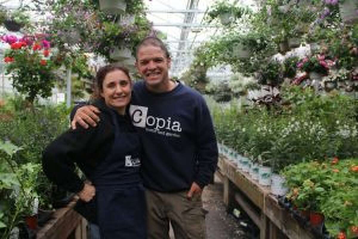 Summer flowers: A feast for the eyes