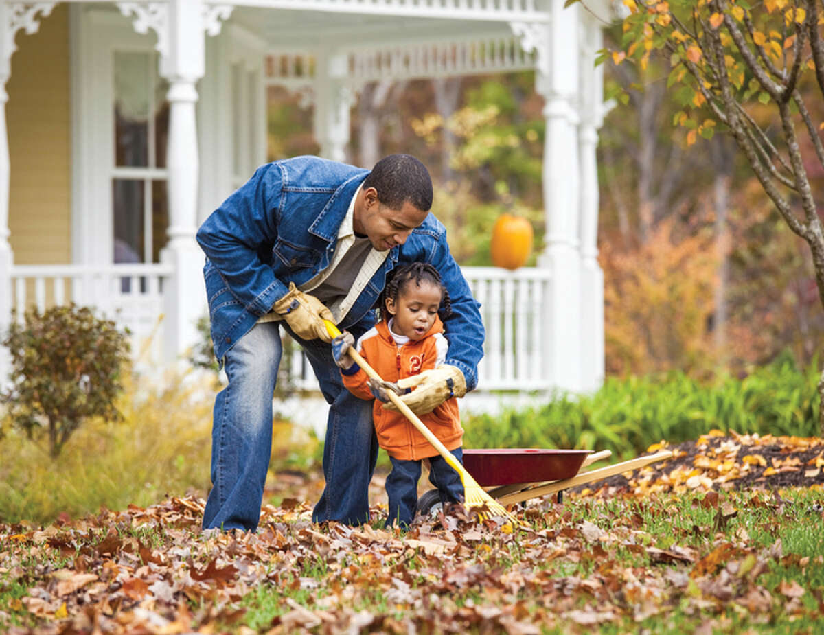 A guide to safely removing fallen leaves
