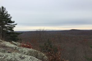 Taking a Hike: The Hemlock Hills