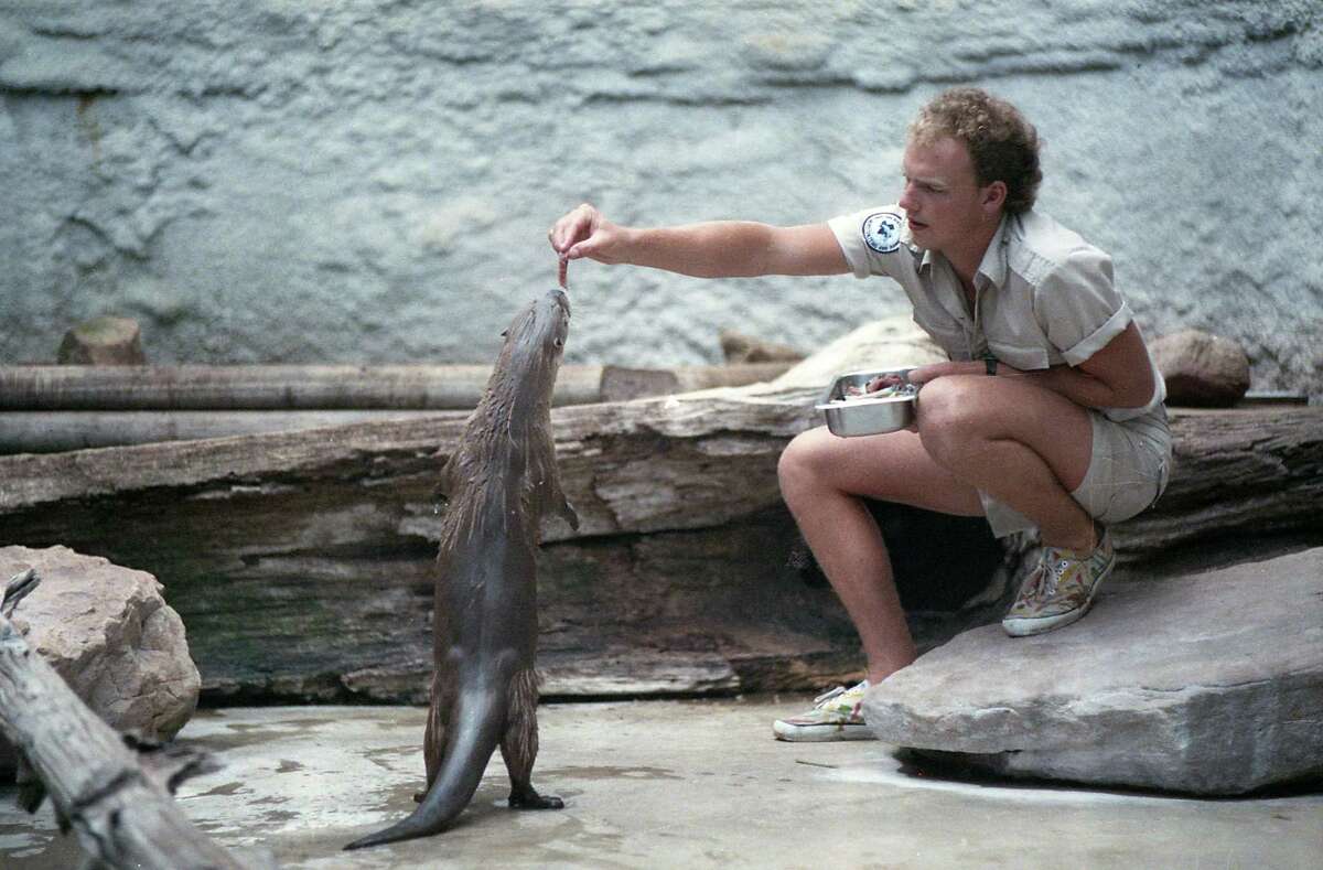 Flooding, Sea-Arama and country legends highlight life in Houston area ...