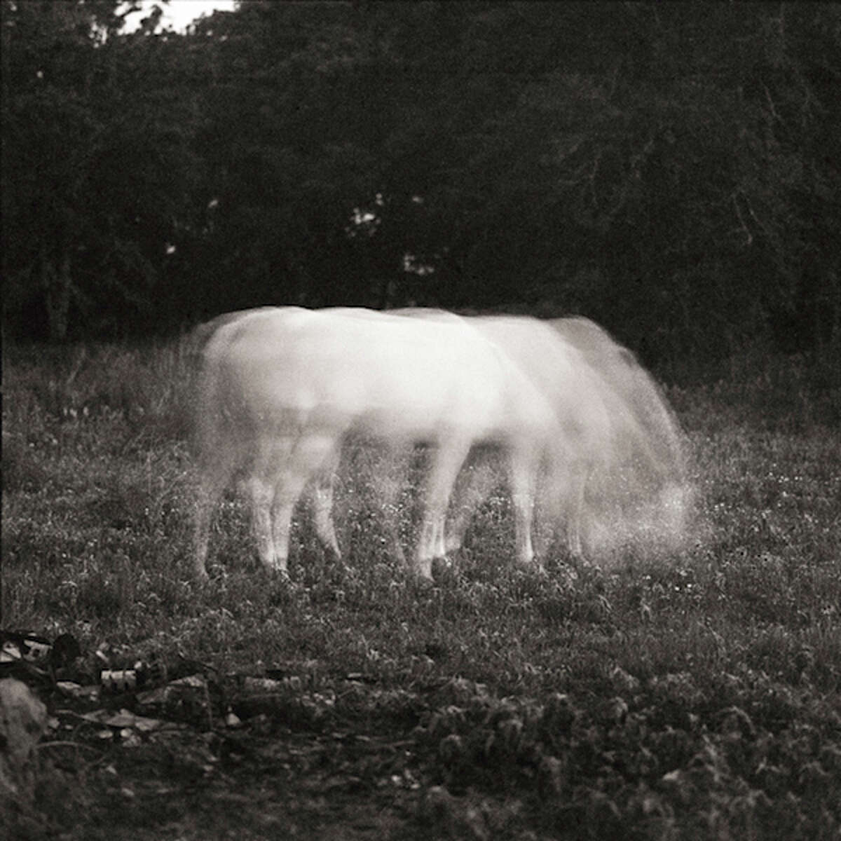 Texas' Keith Carter photographs 'light and time and memory'