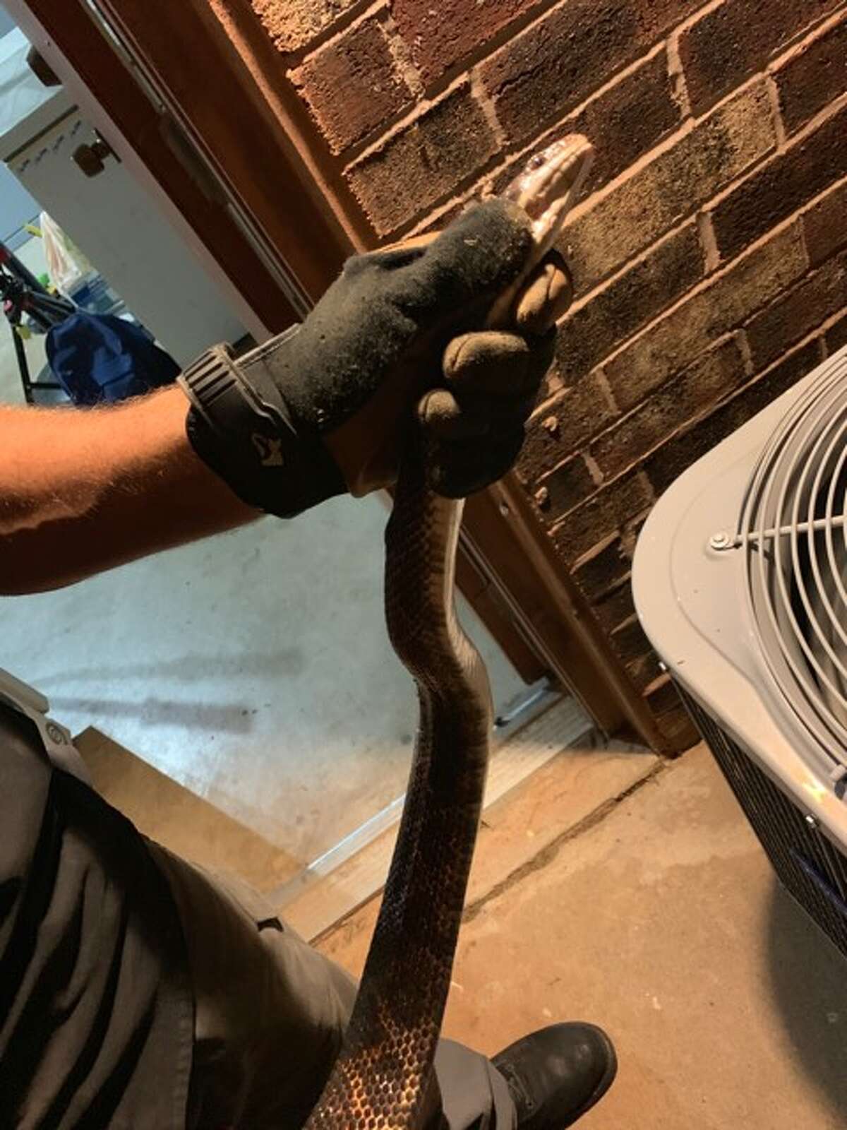 Oklahoma man finds 7-foot snake snuggled inside his dryer