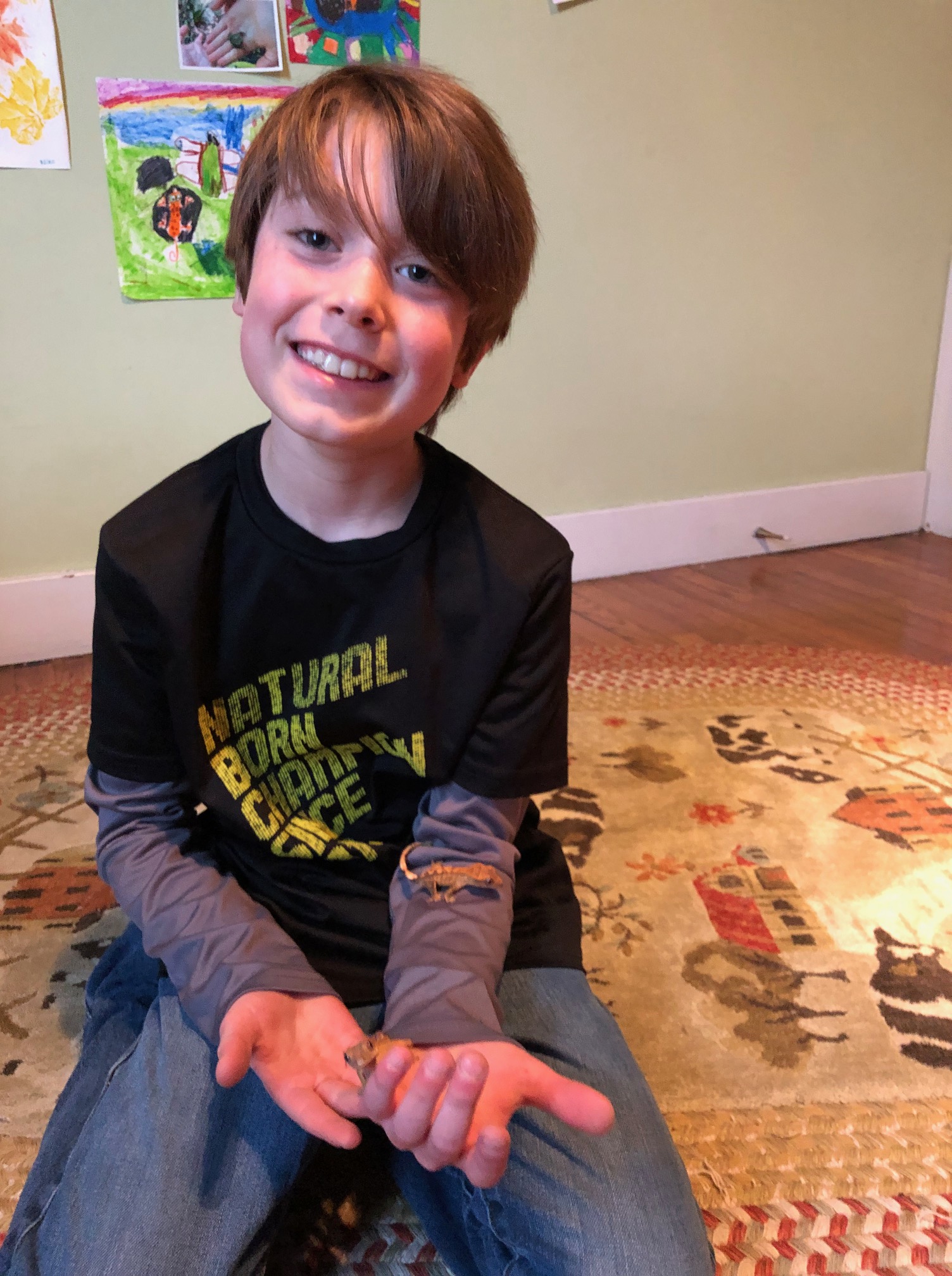 Meet Cuckoo and Crazy, Niko's two geckos