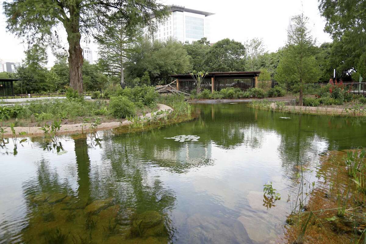 Cranes, gators and eagles: Houston Zoo’s new wetlands exhibit showcases ...