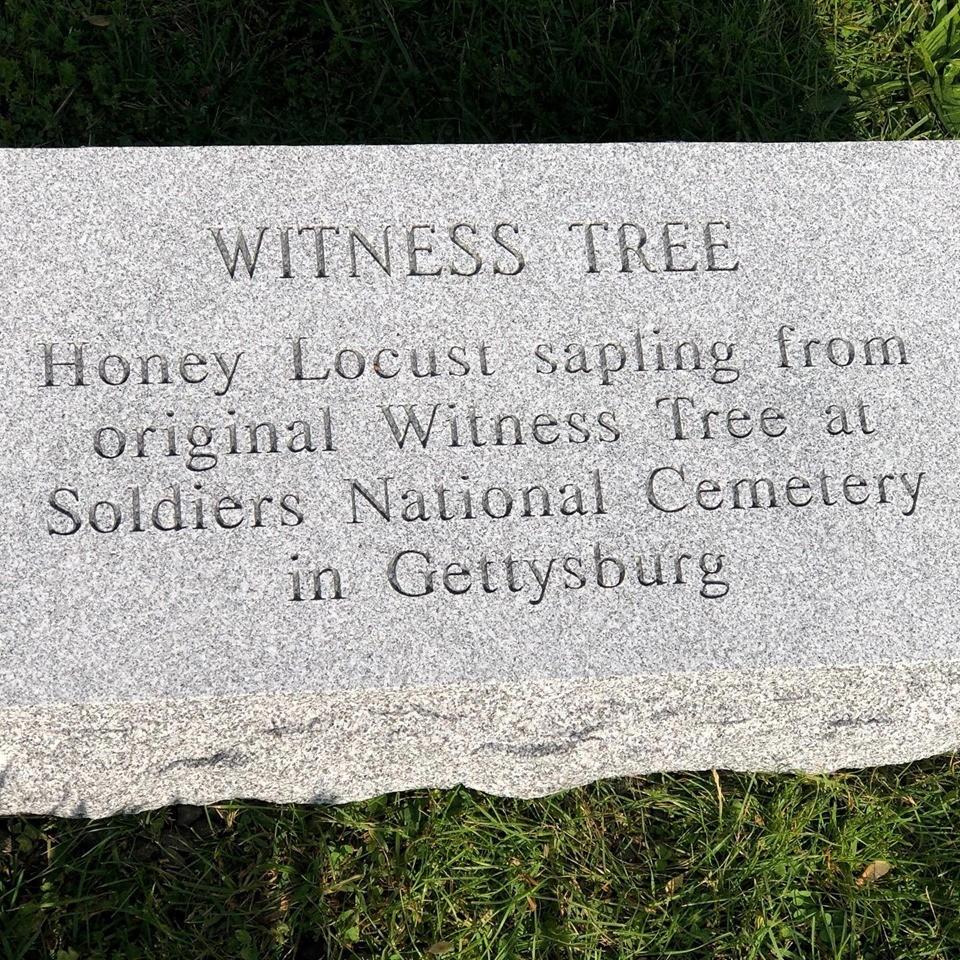 Witness Tree monument unveiled in Darien