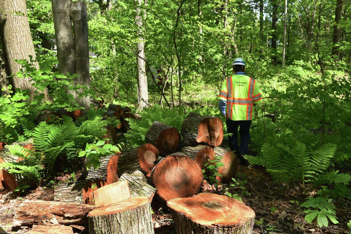 These are the businesses included in each phase of New York's reopening ...