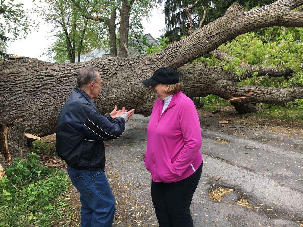 Neighbors mourn old oak tree that falls in Latham