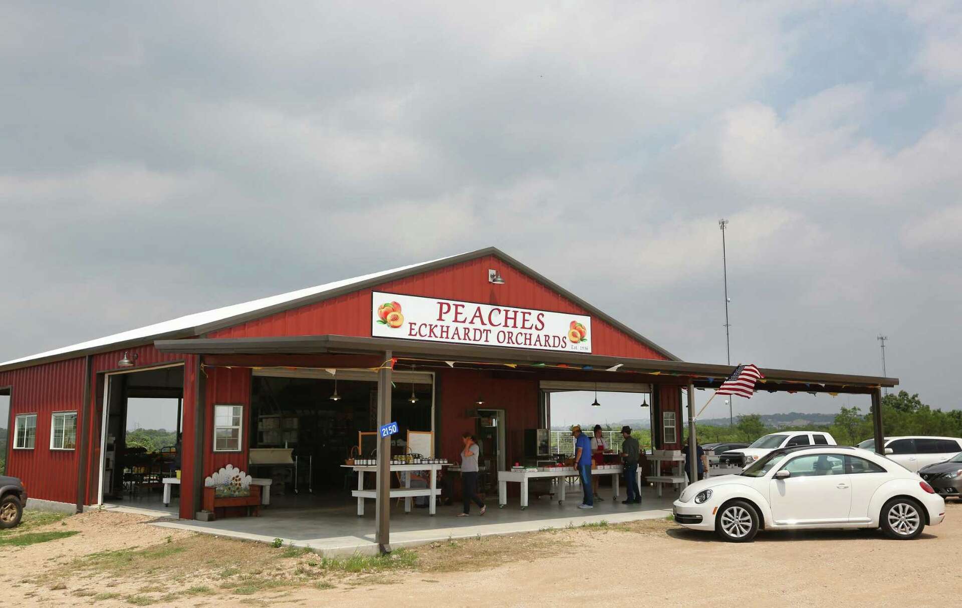 Expect a sweet peach crop out of the Hill Country this year