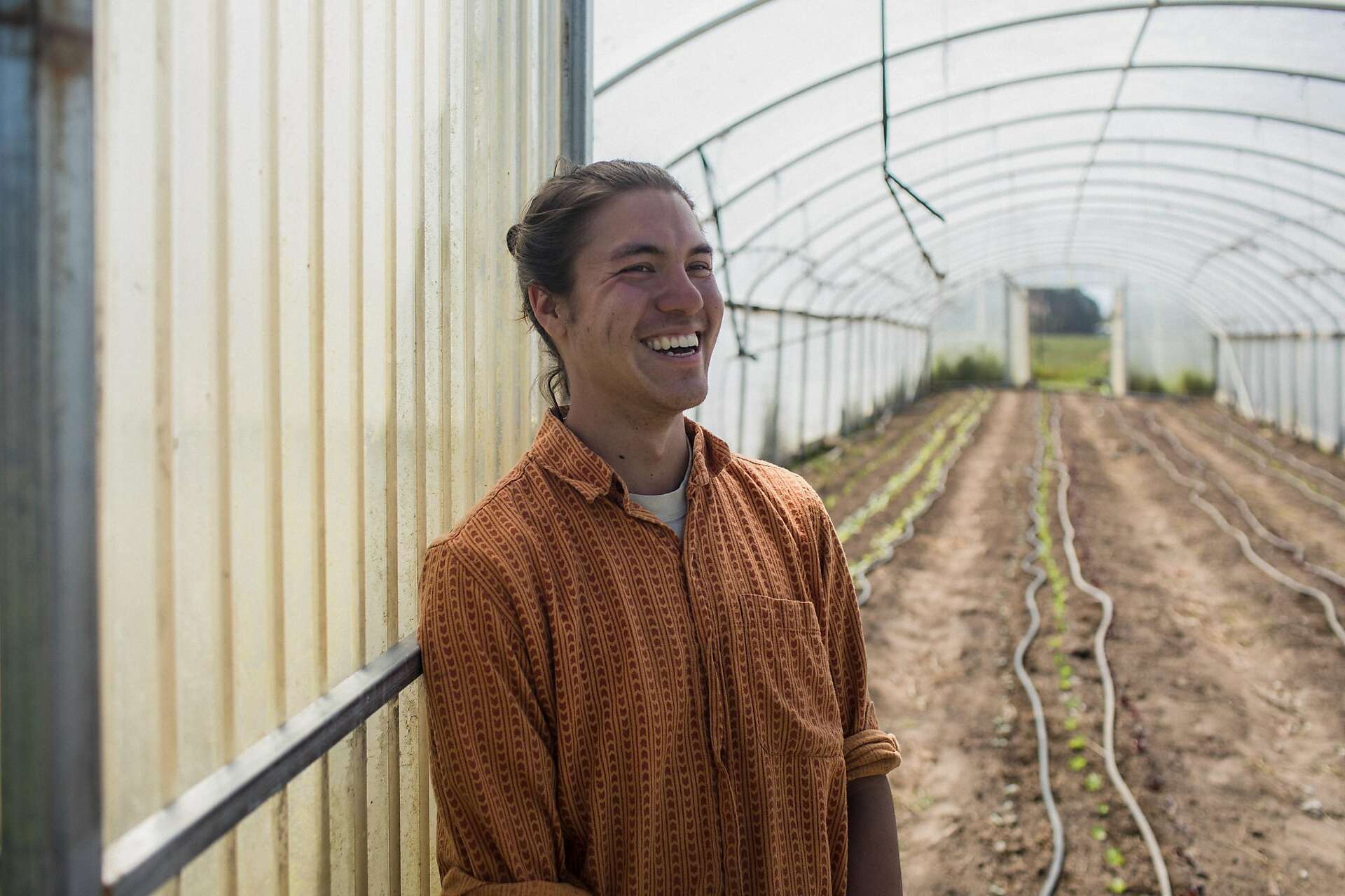 The novice farmer whose search for his roots led to an organic farm in ...