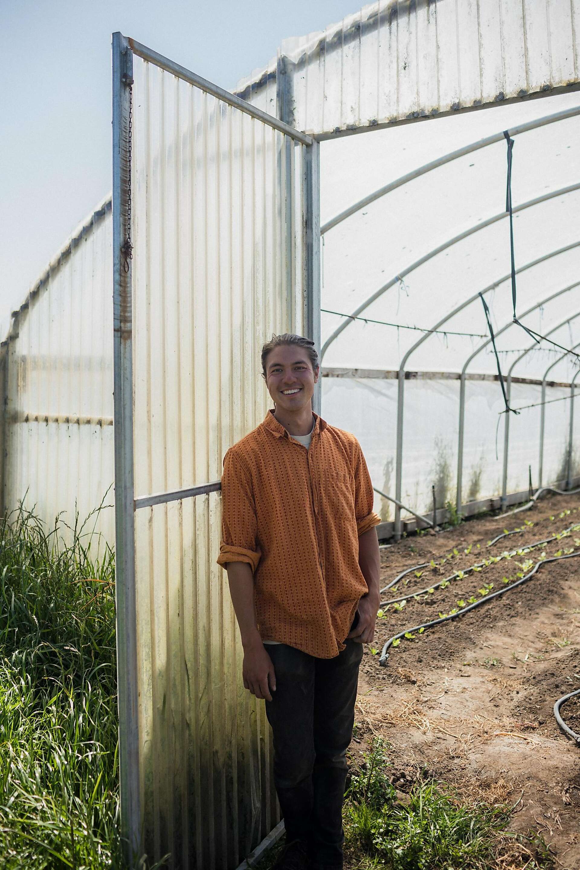 The novice farmer whose search for his roots led to an organic farm in ...