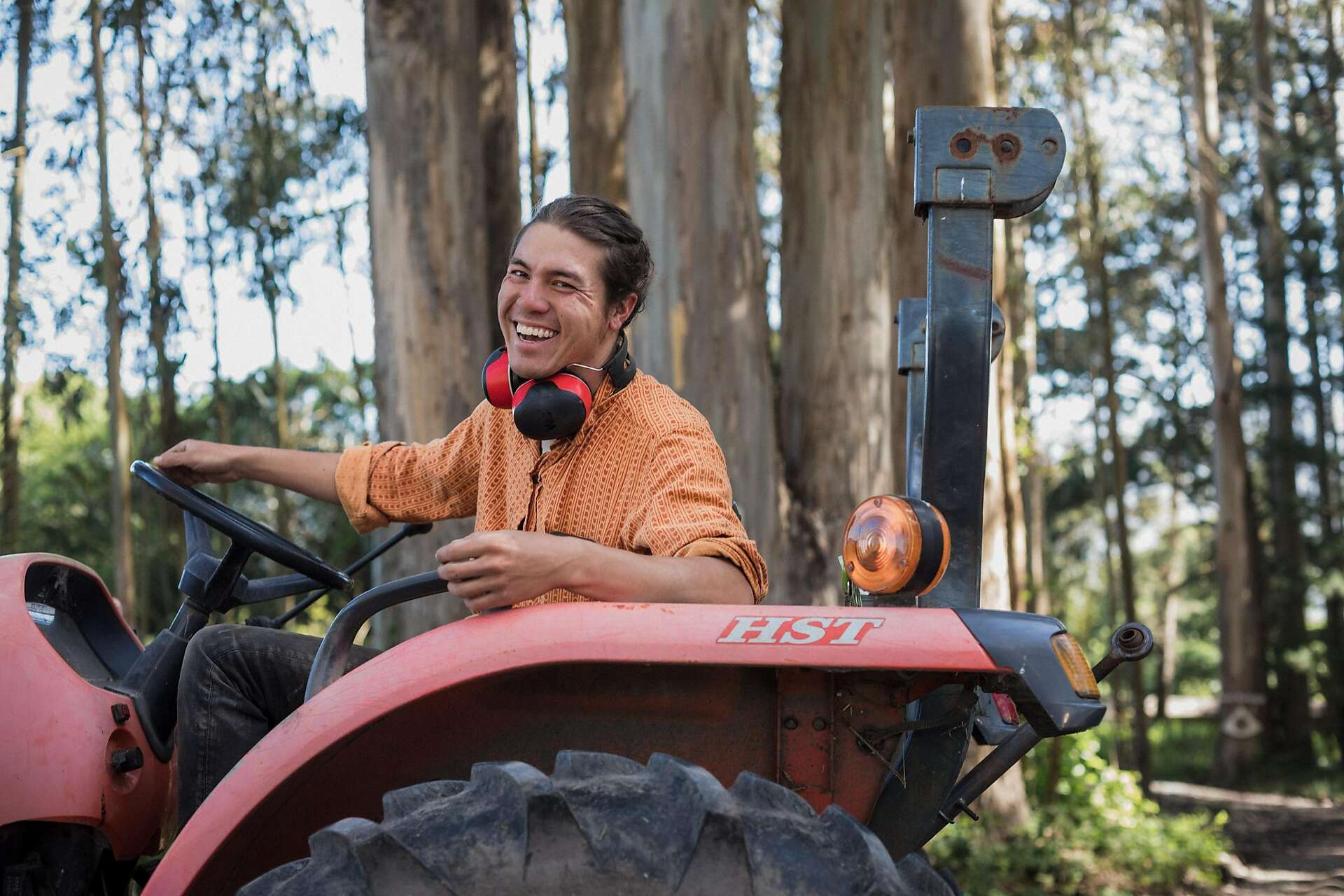 The novice farmer whose search for his roots led to an organic farm in ...