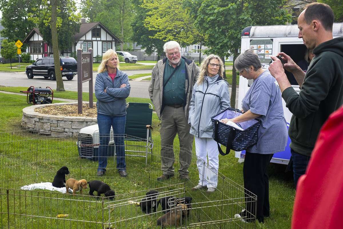 'Together We Fly' sculpture revealed in Grove Park
