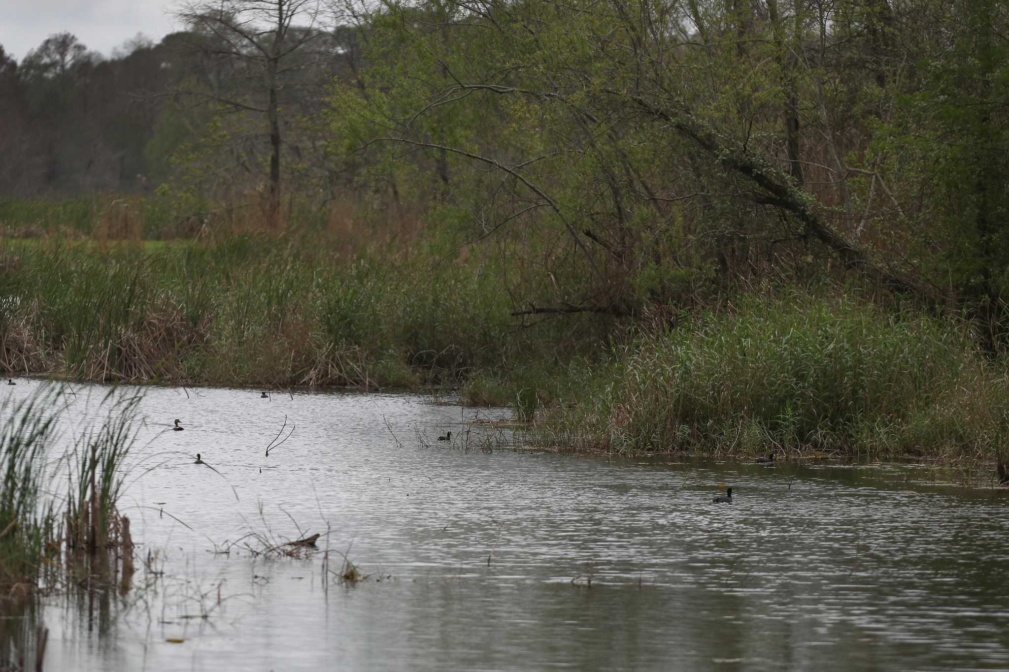 Judge: Obama-era clean water rule required more public comment