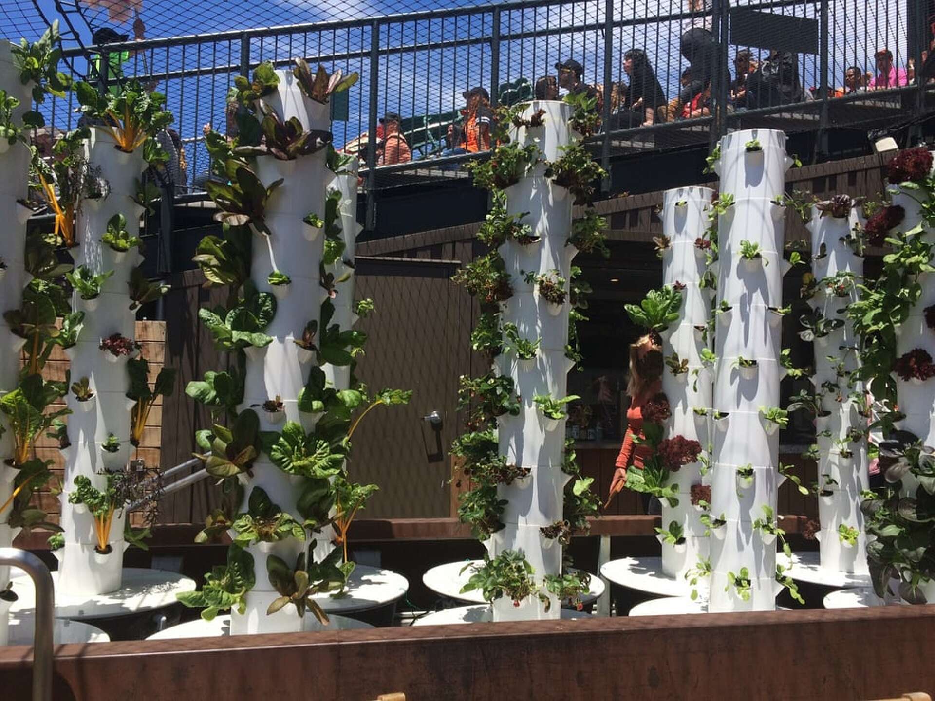 This map of Oracle Park will guide you to the cheapest booze inside the ...