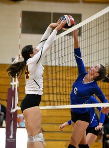 Girls volleyball: St. Joseph falls to Ludlowe Falcons