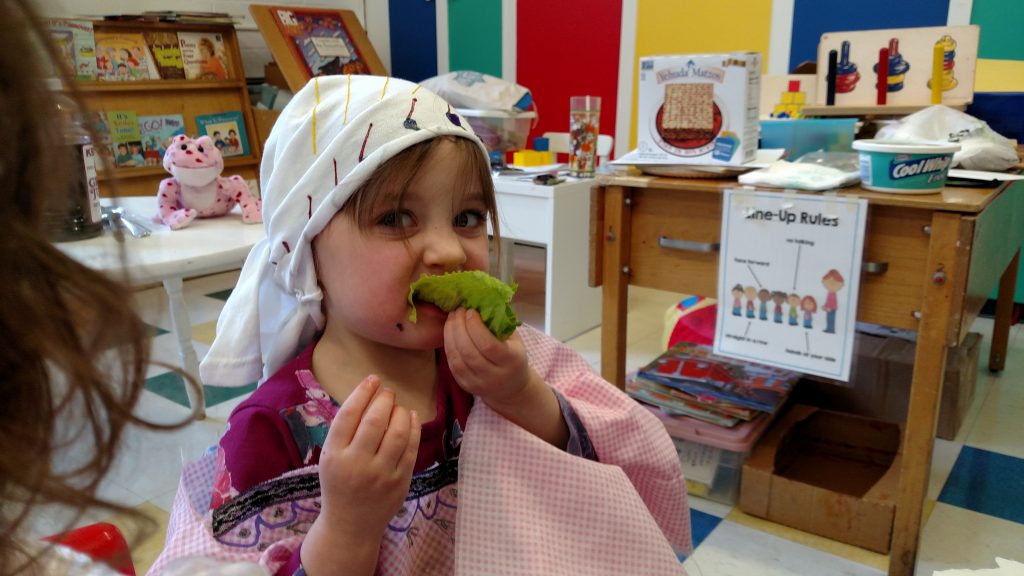 B'nai Torah Nursery School Passover model Seder