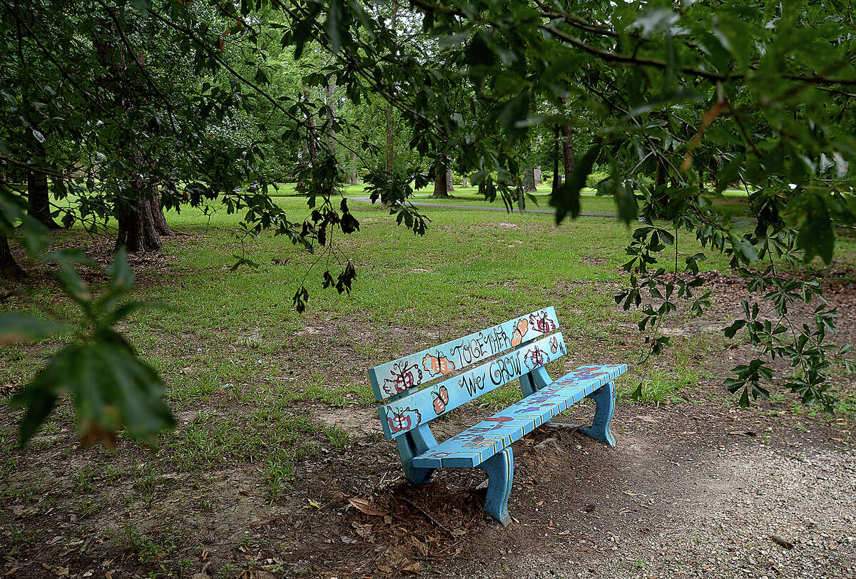 Photos: Local artists find canvas in park benches
