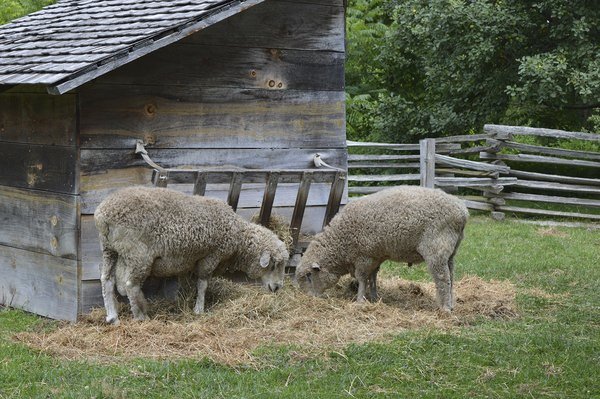Nature center to host Homestead Sundays through August
