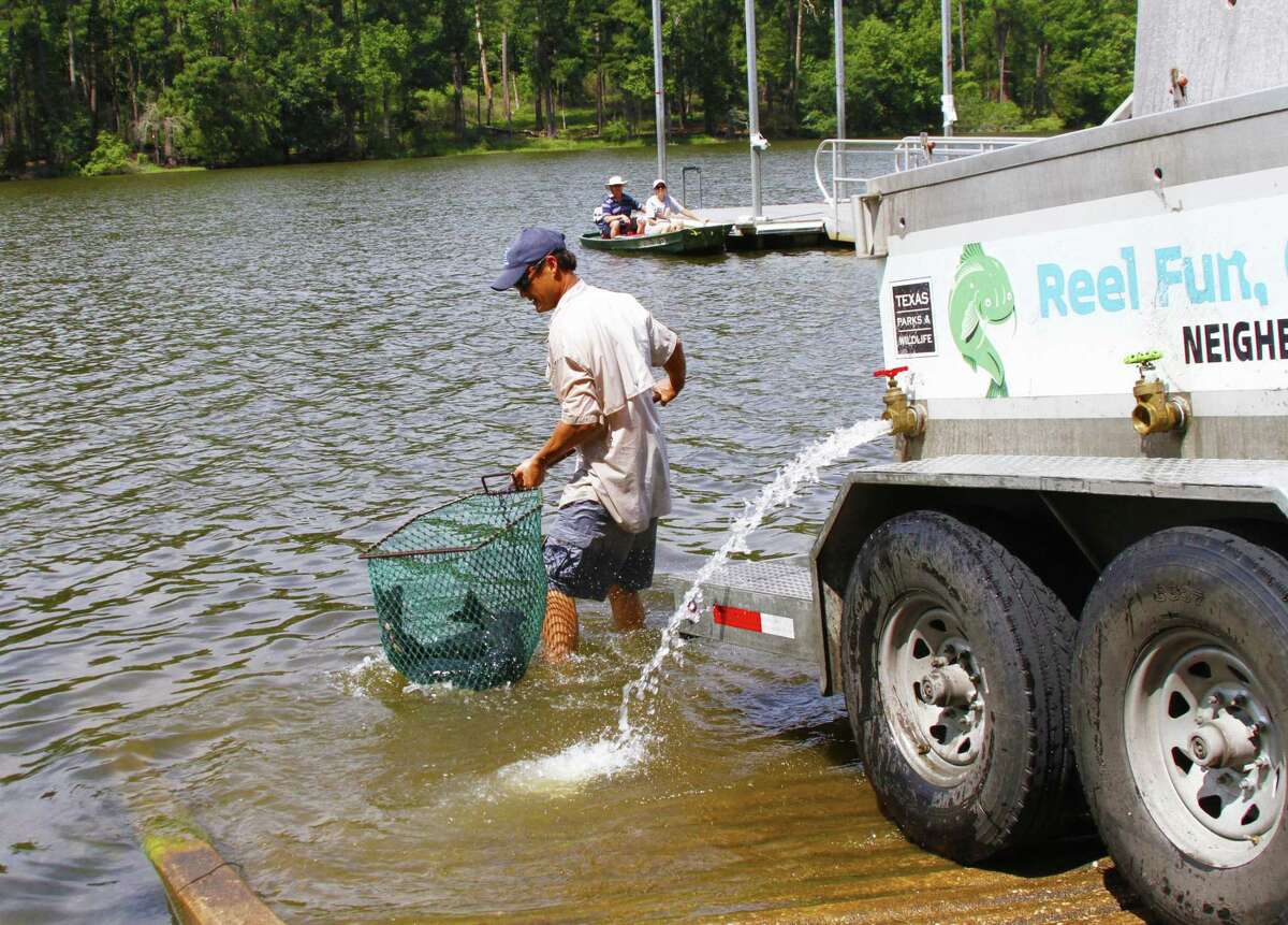 Fish in a barrel, or how to spawn cats in small lake