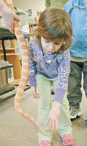 Police look for public’s help in library snake case
