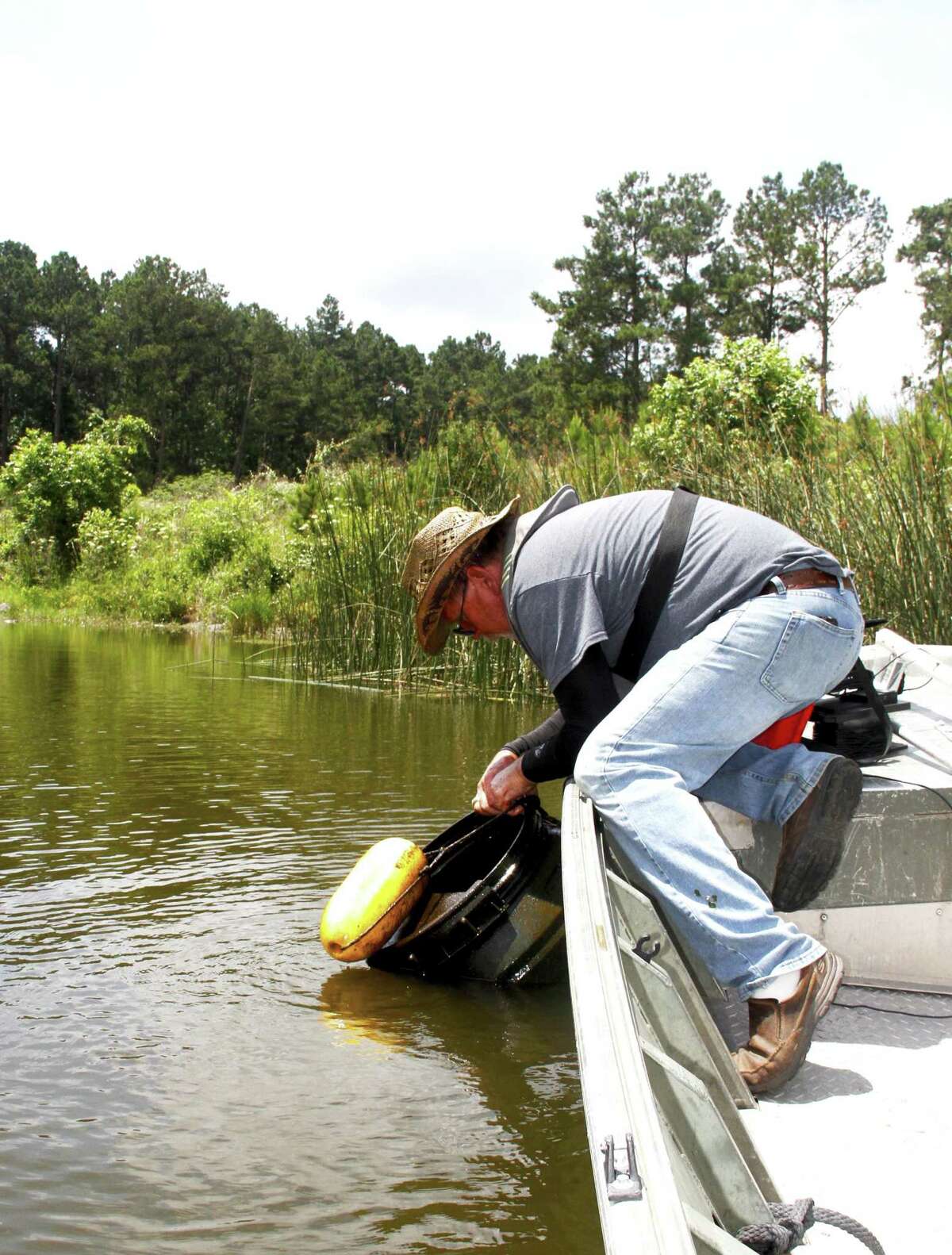 Fish in a barrel, or how to spawn cats in a small lake