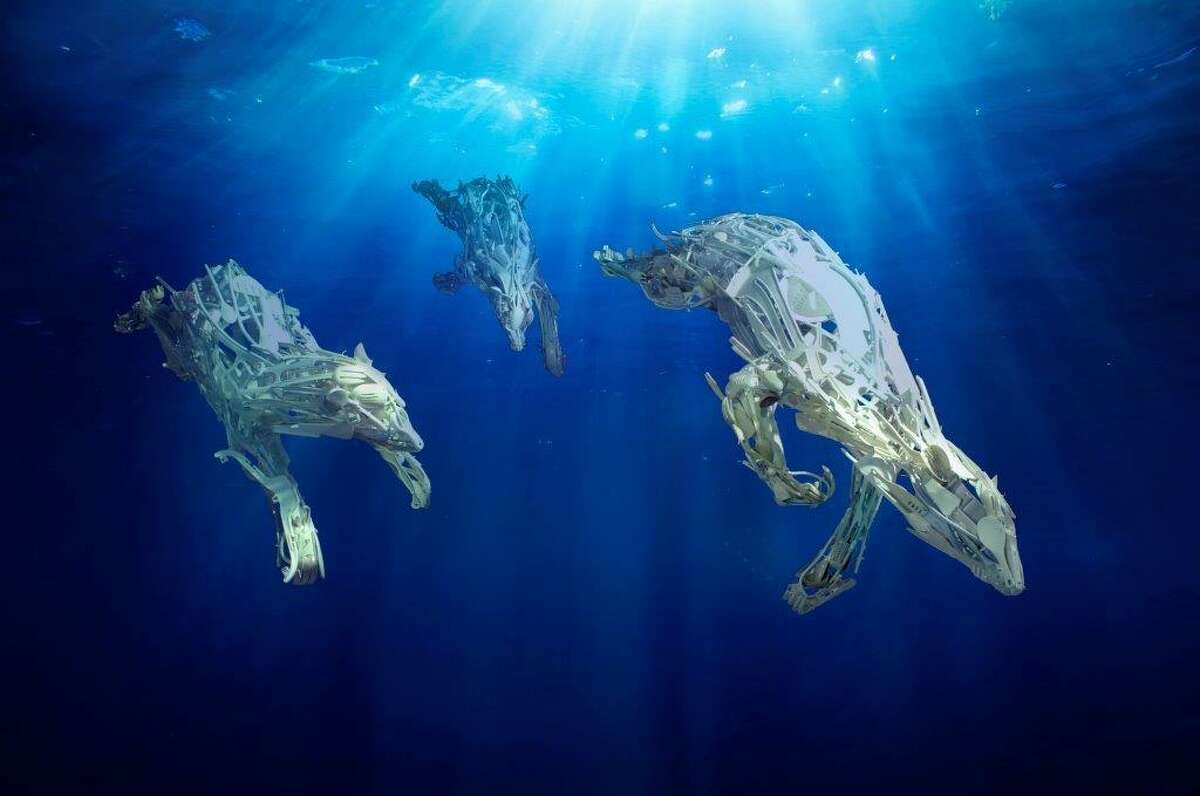 Stamford Museum & Nature Center hosts Sayaka Ganz’s ‘Reclaimed ...