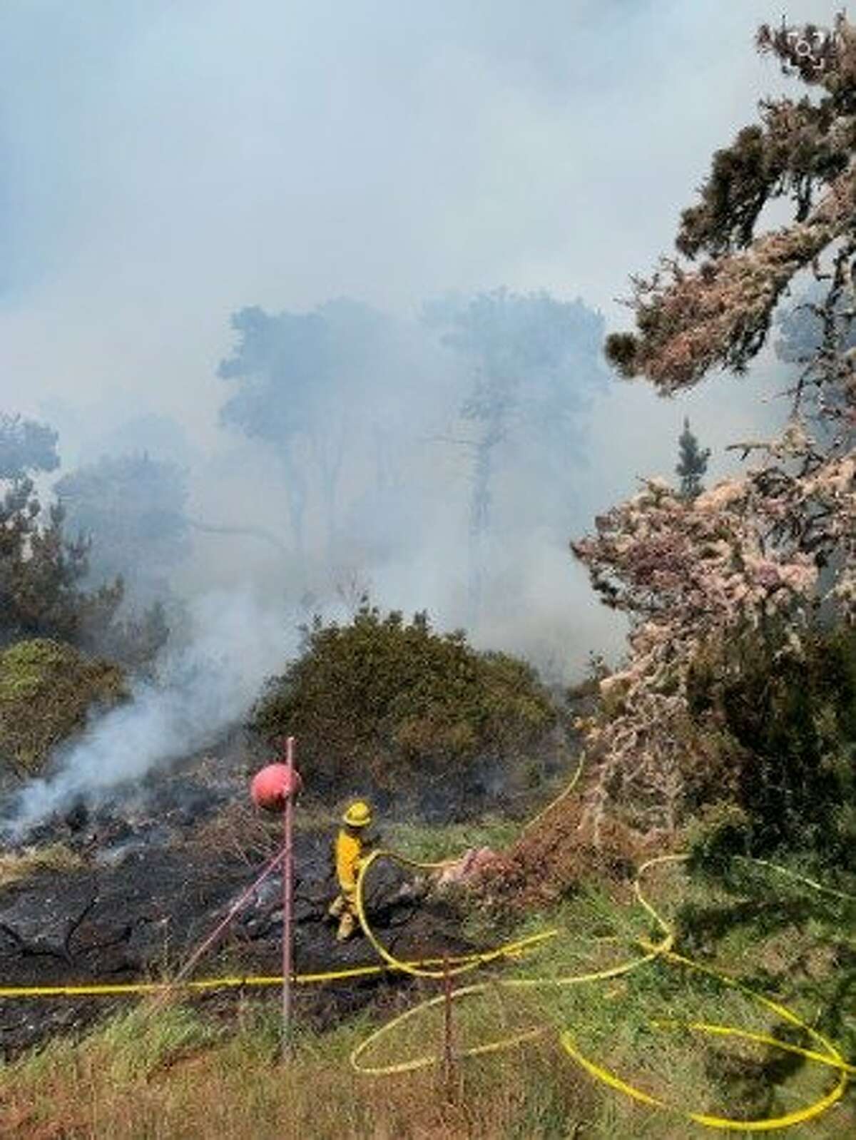Fire contained at Point Reyes National Seashore
