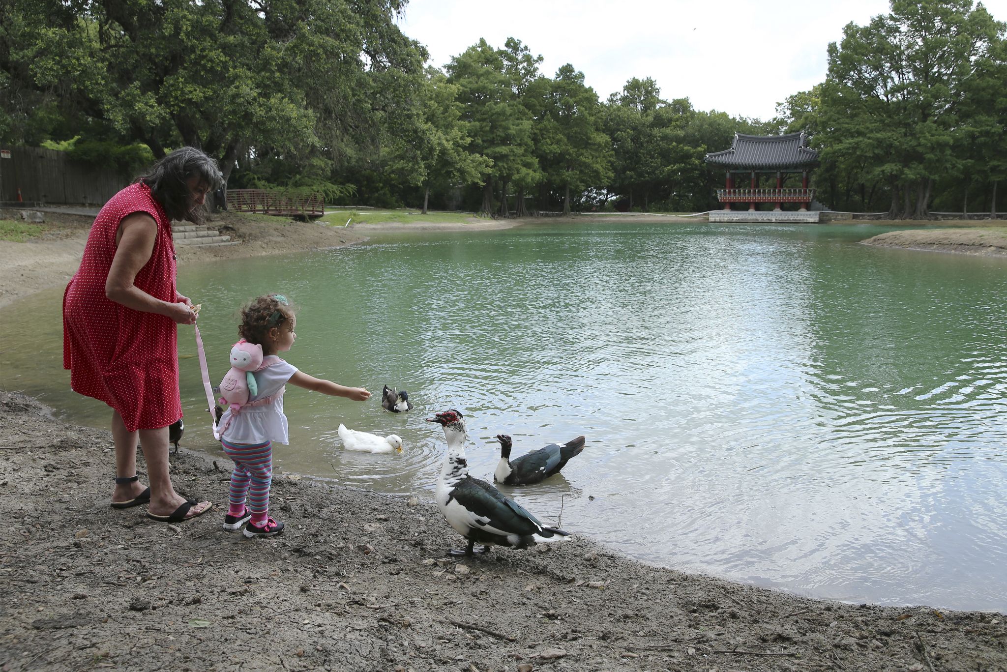 Denman Estate Park in San Antonio: A tranquil hideaway