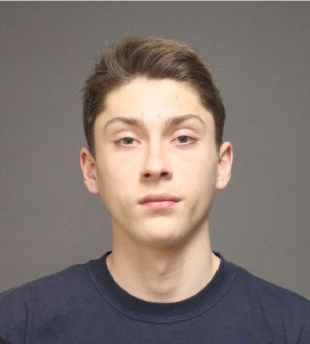 Two Fairfield brothers charged with larceny