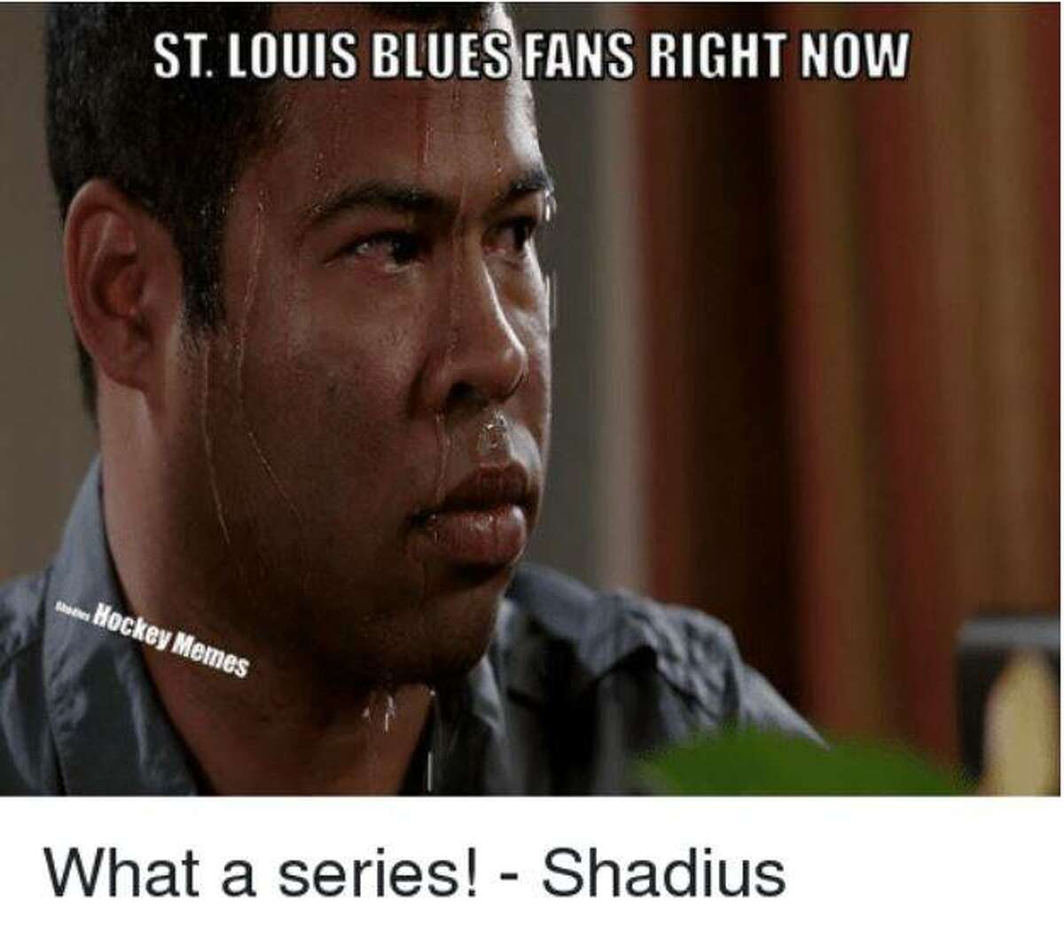 The best Blues memes from the Stanley Cup championship