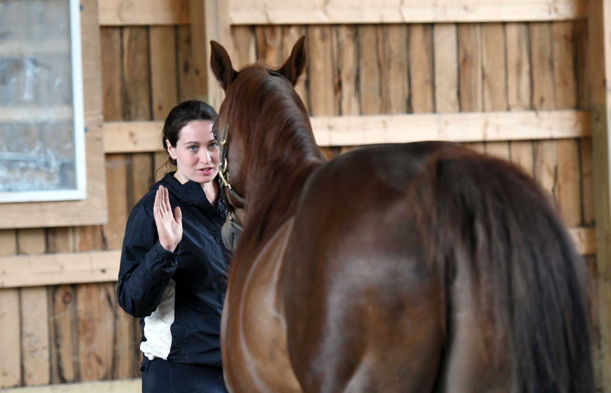 Photos: Police learn how to investigate horse cruelty cases