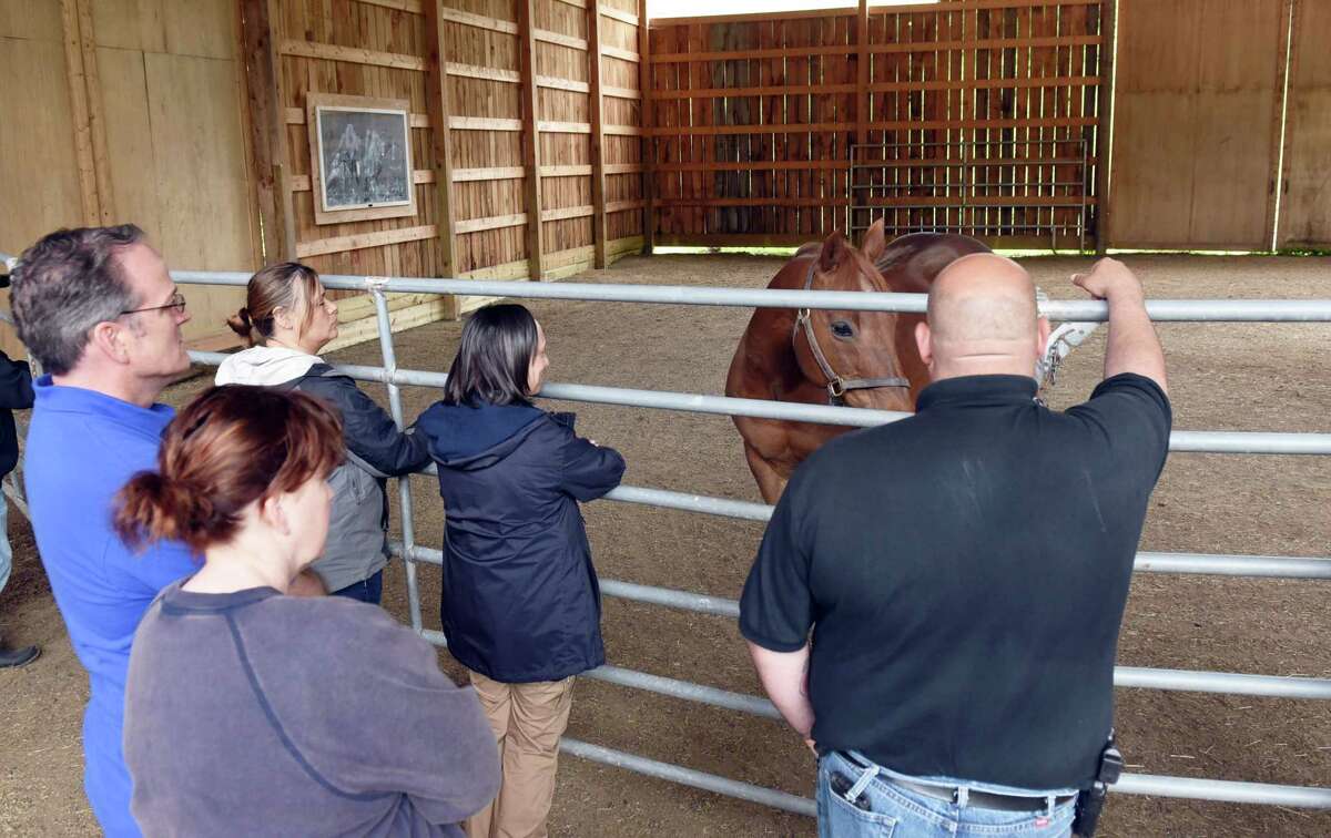 Photos: Police learn how to investigate horse cruelty cases
