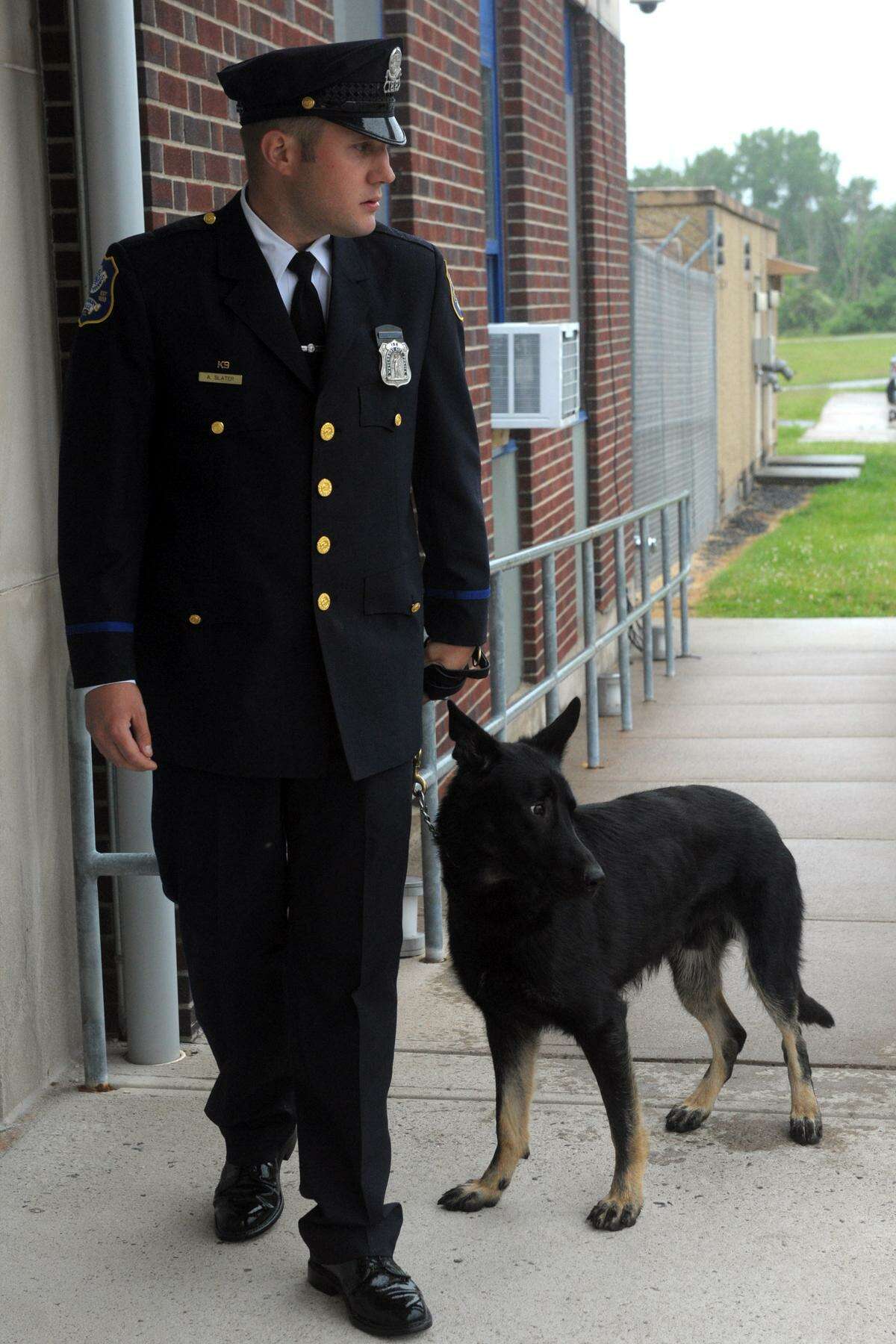 Pooches on parade at 201st Patrol Dog class graduation