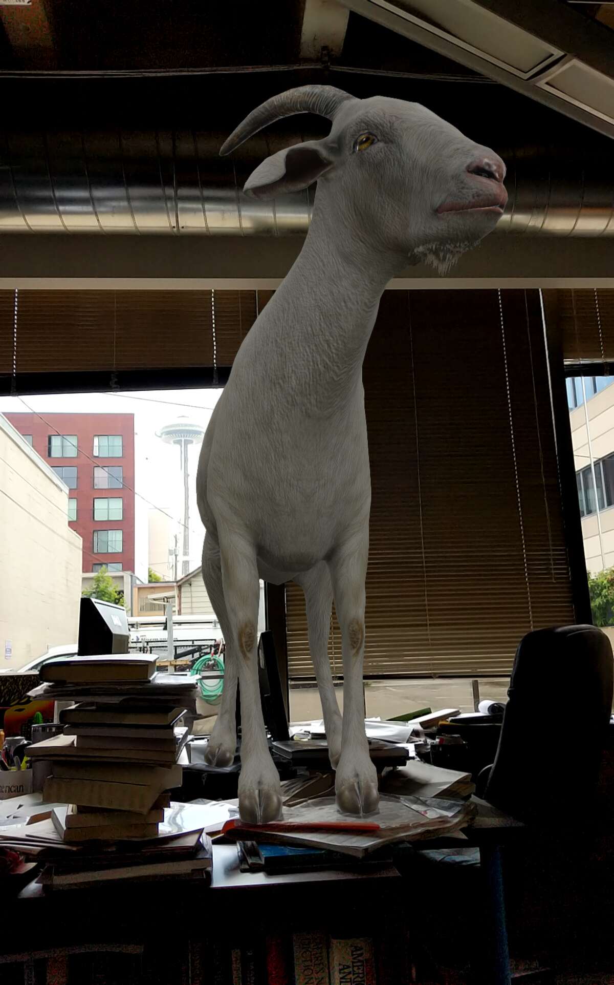 There's a goat on my desk! Take a safari without leaving home, thanks ...