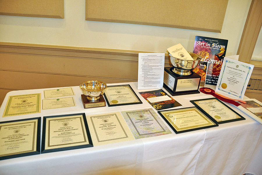 Garden club reaps awards for flower show