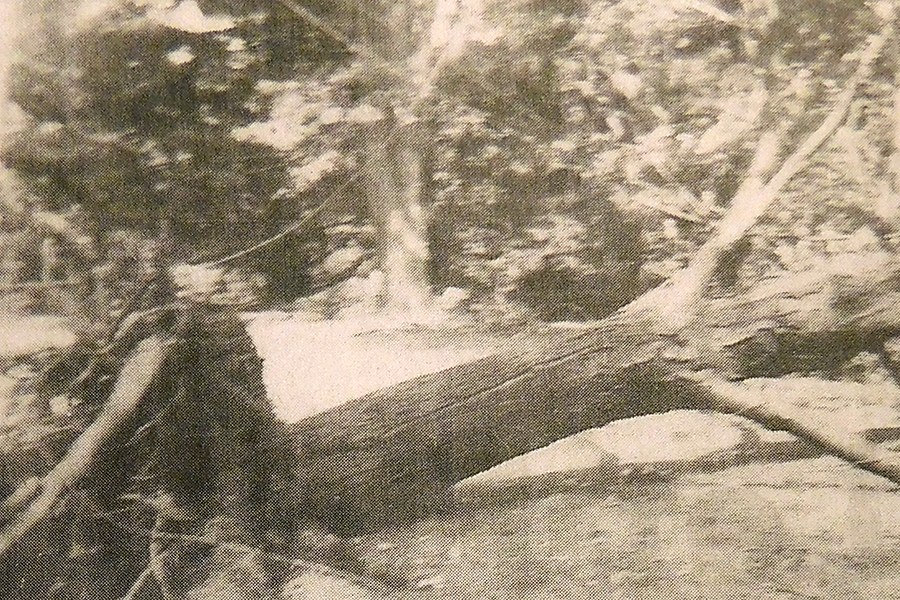 80 years ago: The Great New England Hurricane hits Wilton