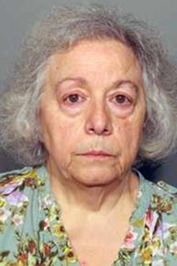 Wilton woman one of two accused of stealing from schools