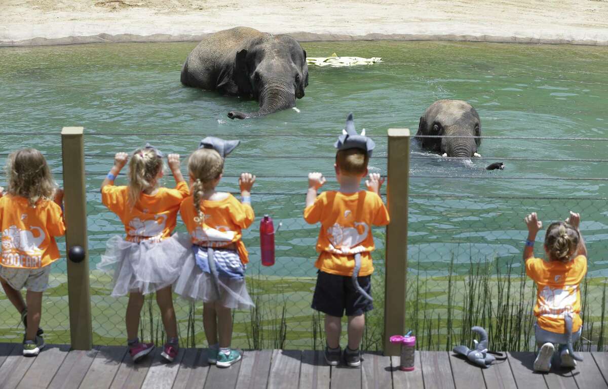 Things to do in Houston: Amusement parks for kids of all ages